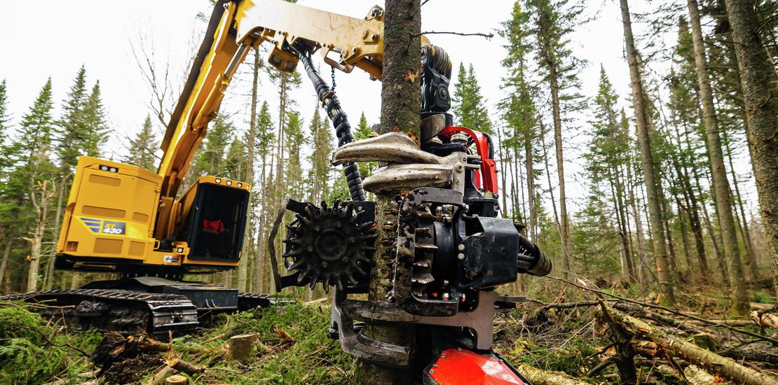 XT430-5 tracked harvester | Komatsu